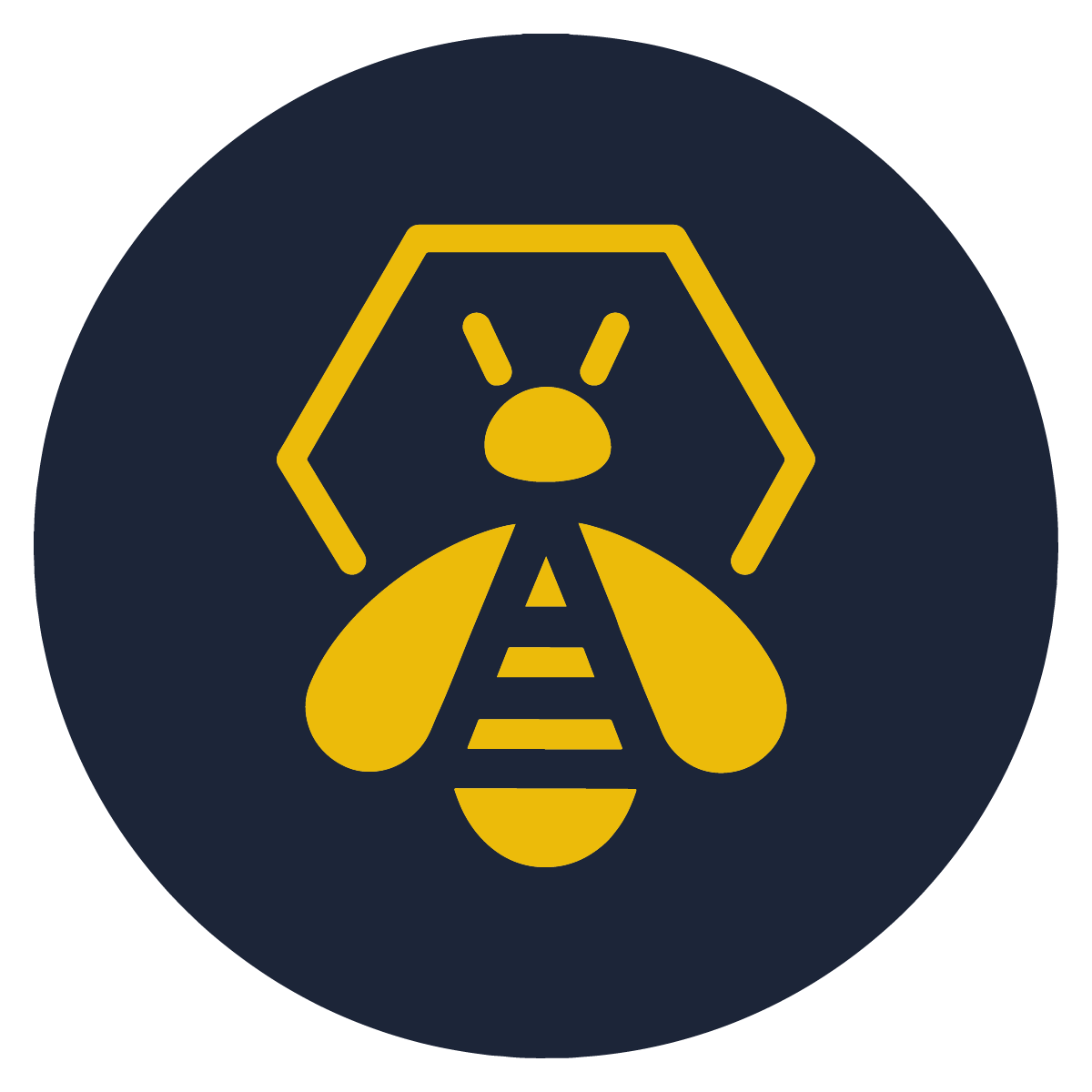 TryHackMe | TheHive Project