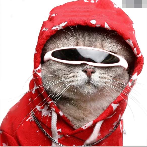 TryHackMe | RustScan