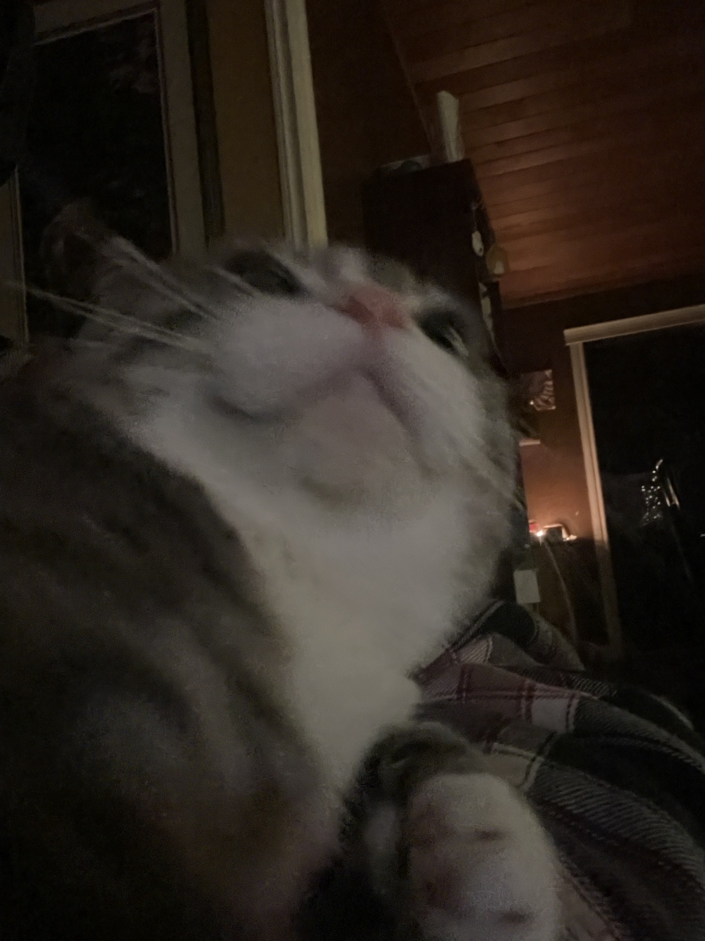 TryHackMe | HackerKai